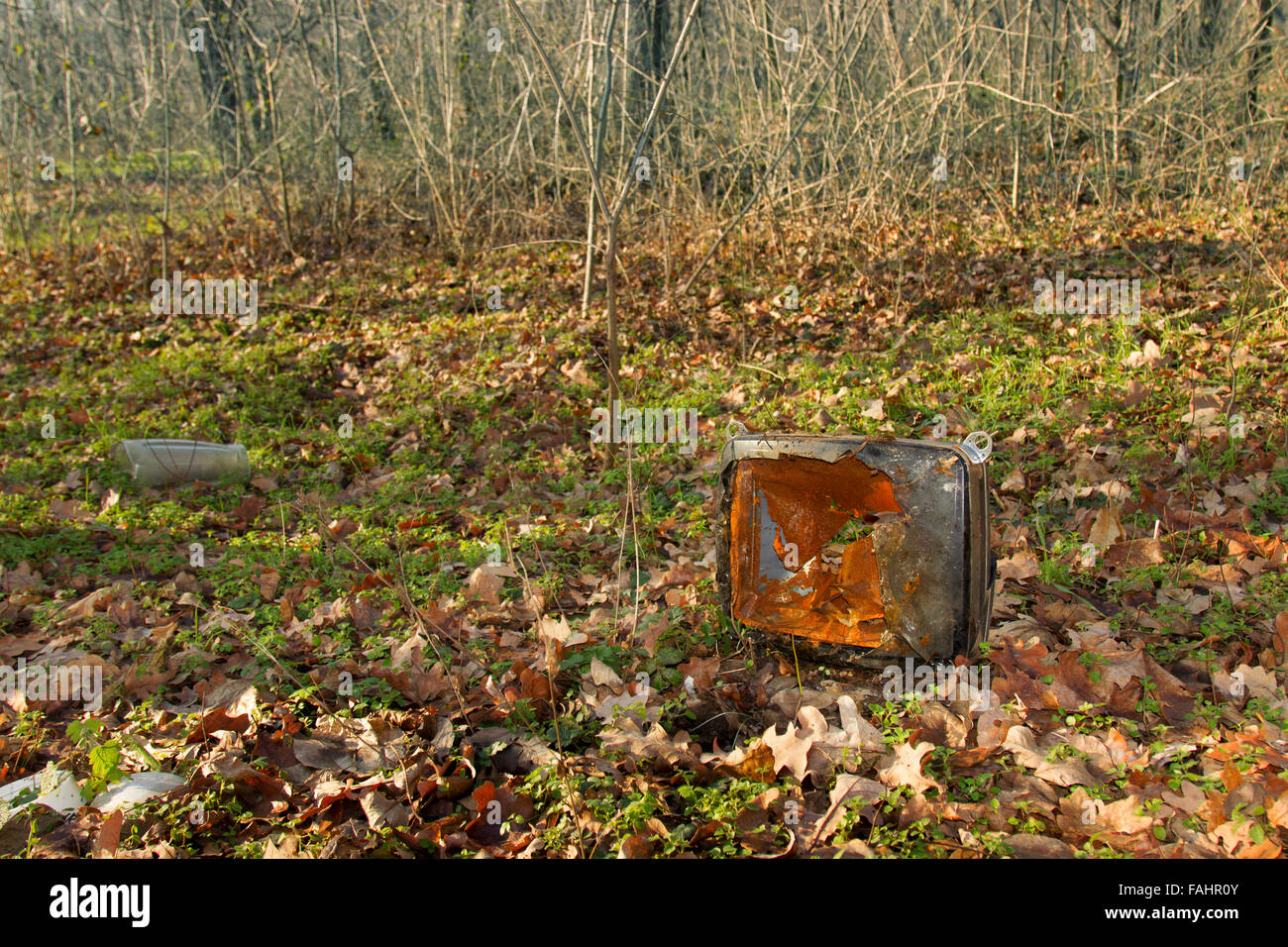 Old damaged and rusty TV in the forest Stock Photo - Alamy