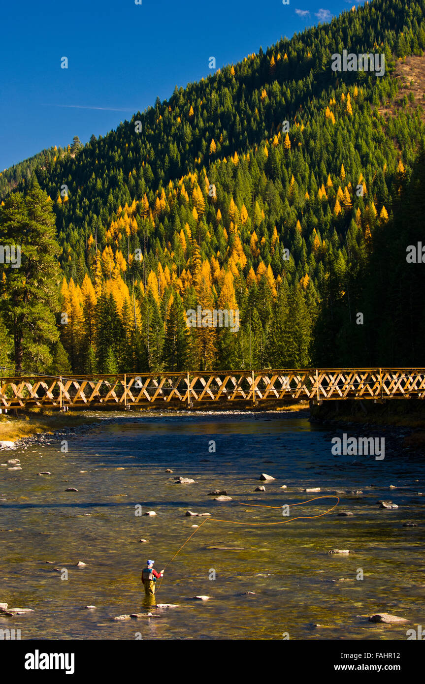 Historic blue forest trail hi-res stock photography and images - Alamy
