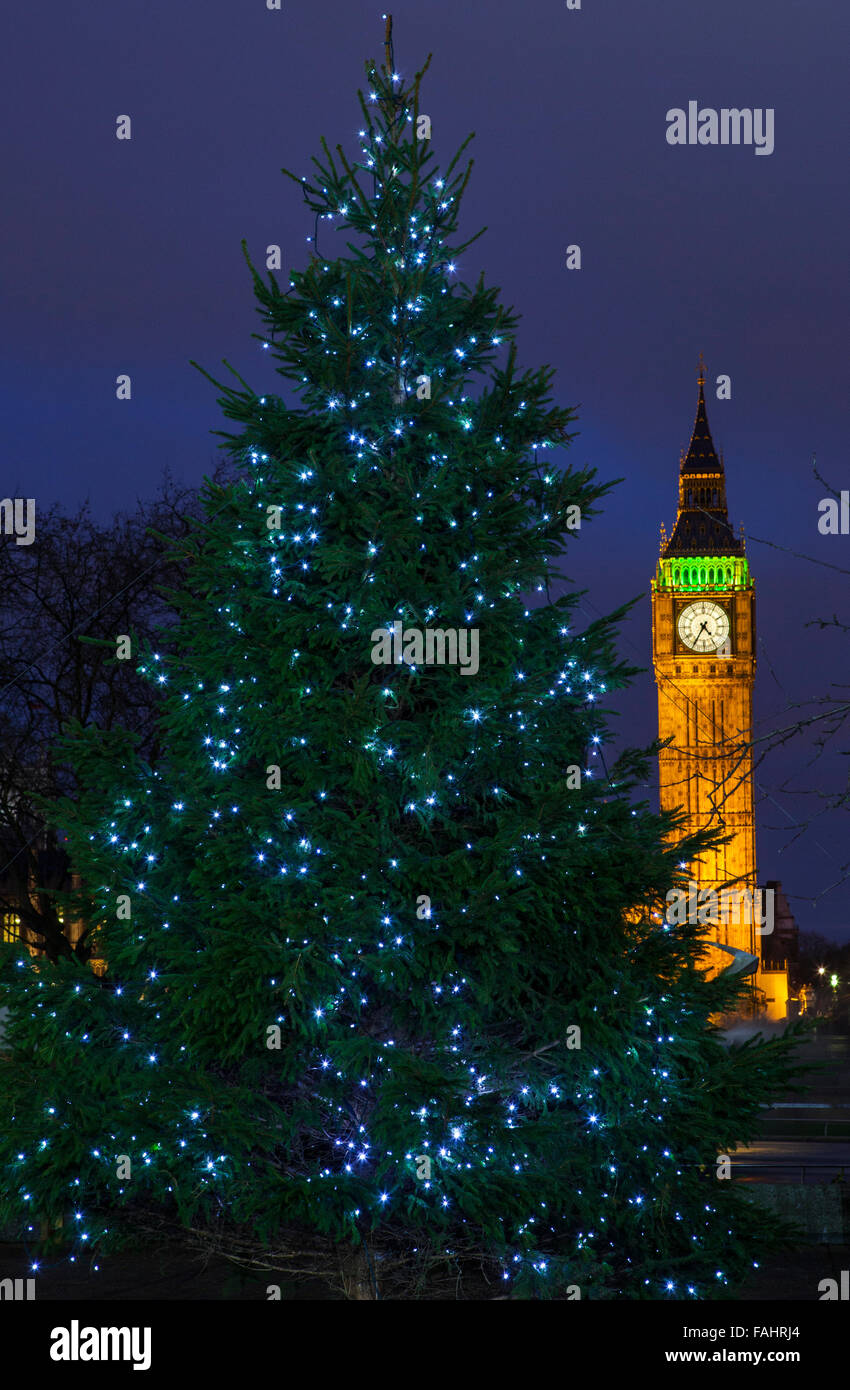 A Christmas Tree with the Elizabeth Tower in the background, in London ...