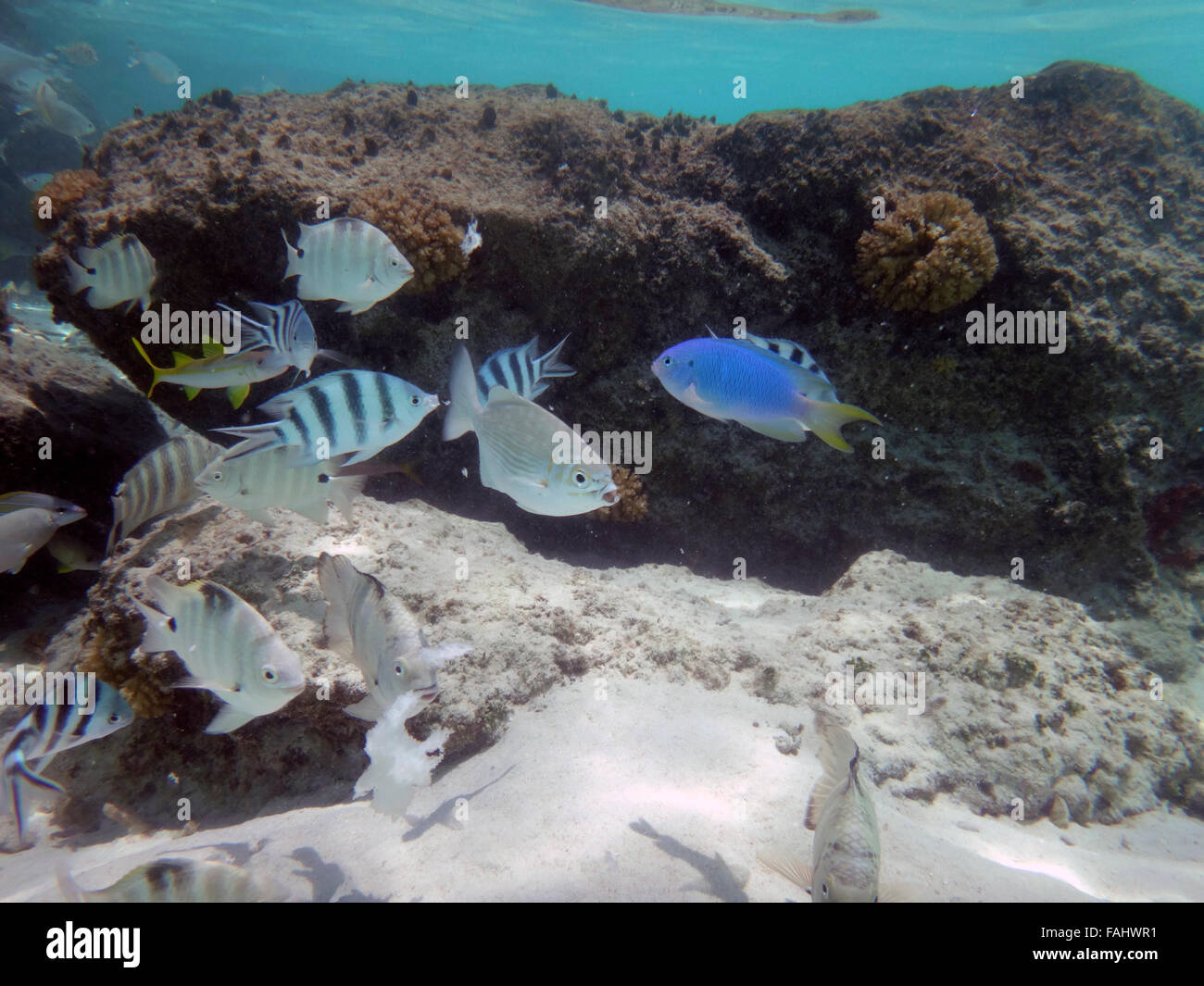 Matira beach bora bora tahiti hi-res stock photography and images - Alamy