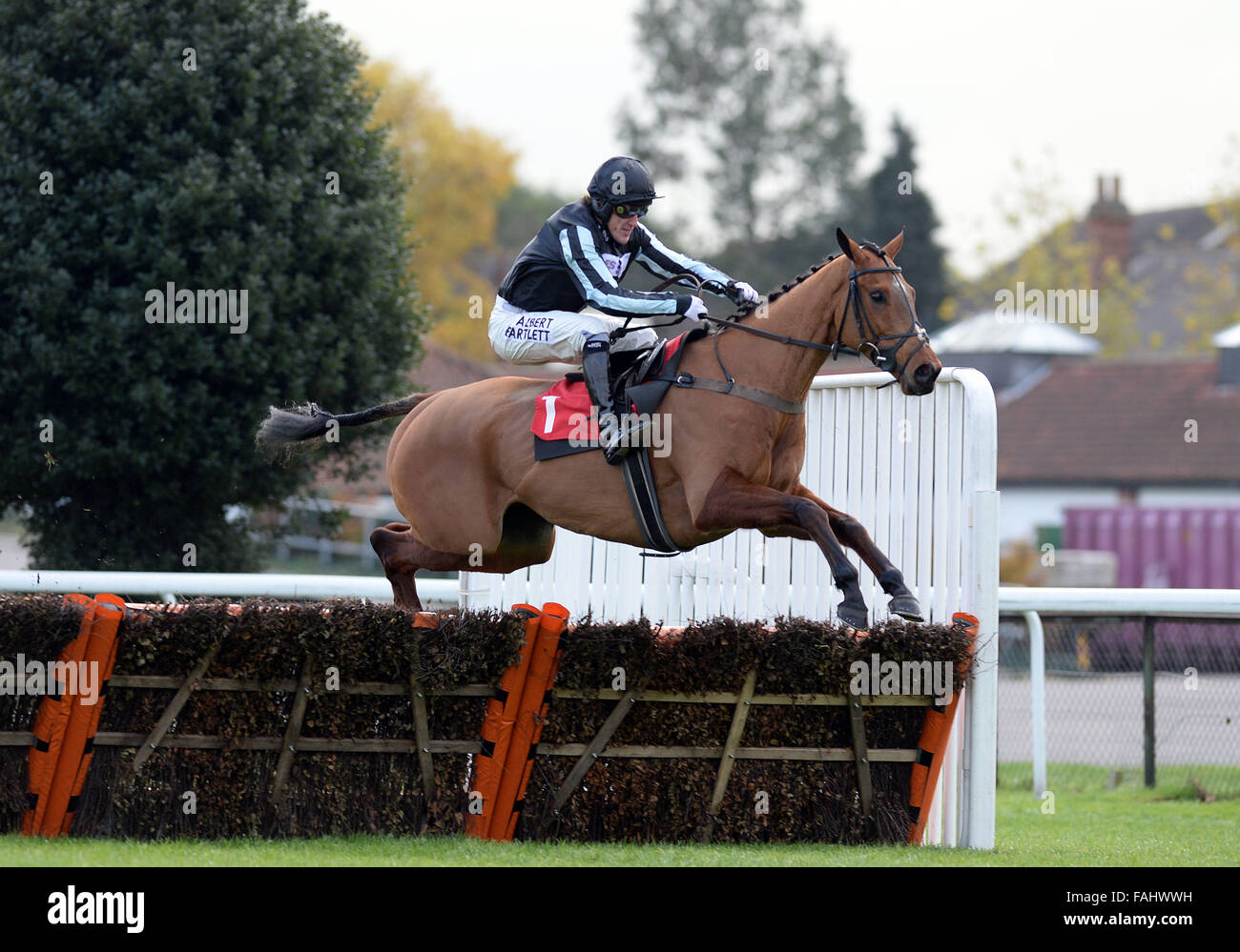 Jump Jockey AP McCoy becomes a Knight in the New Years honours list ...