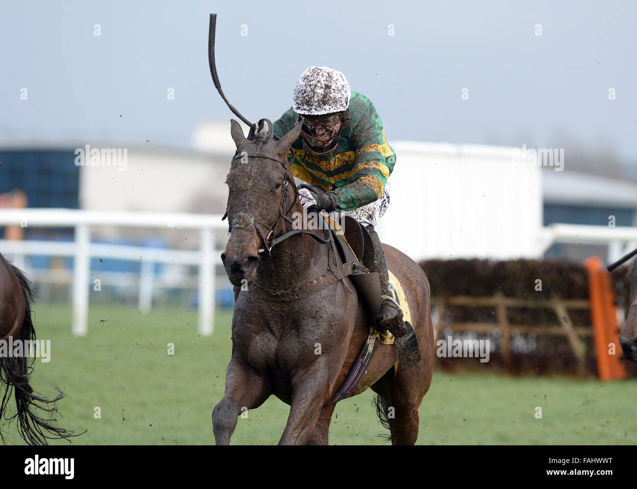 Jump Jockey AP McCoy becomes a Knight in the New Years honours list ...