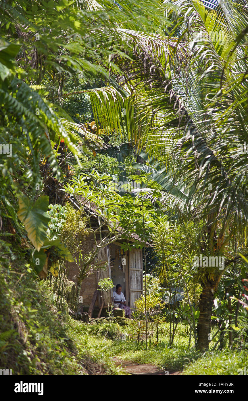 Peasant woman in hut hi-res stock photography and images - Alamy