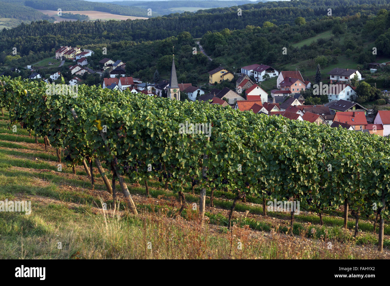 Europe Germany Lauda town Stock Photo - Alamy