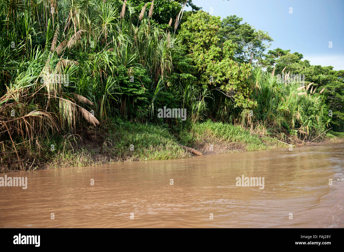 A view of the amazon river in the Tambopa Province on a sunny day Stock ...