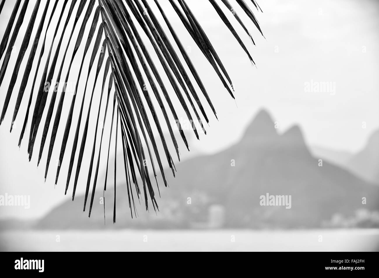 Skyline view of Lagoa lagoon in Rio de Janeiro Brazil with Ipanema and ...