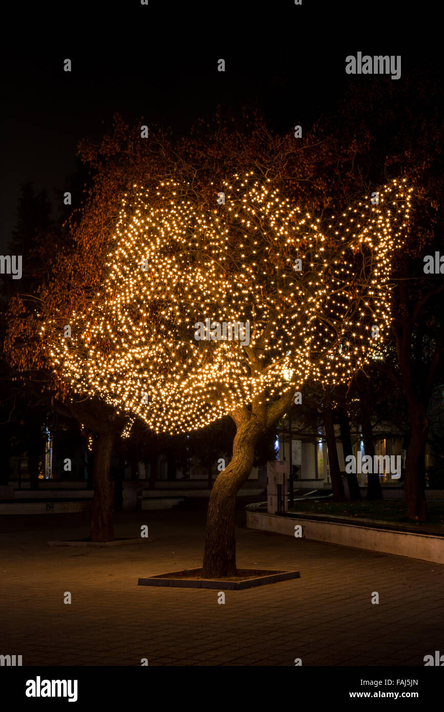 Tree crown decorated with a lot of Chrismtas lights Stock Photo - Alamy