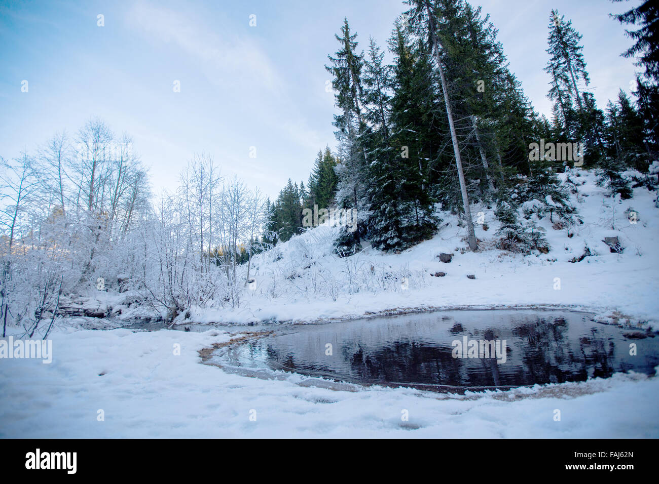Winter snowfal hi-res stock photography and images - Alamy