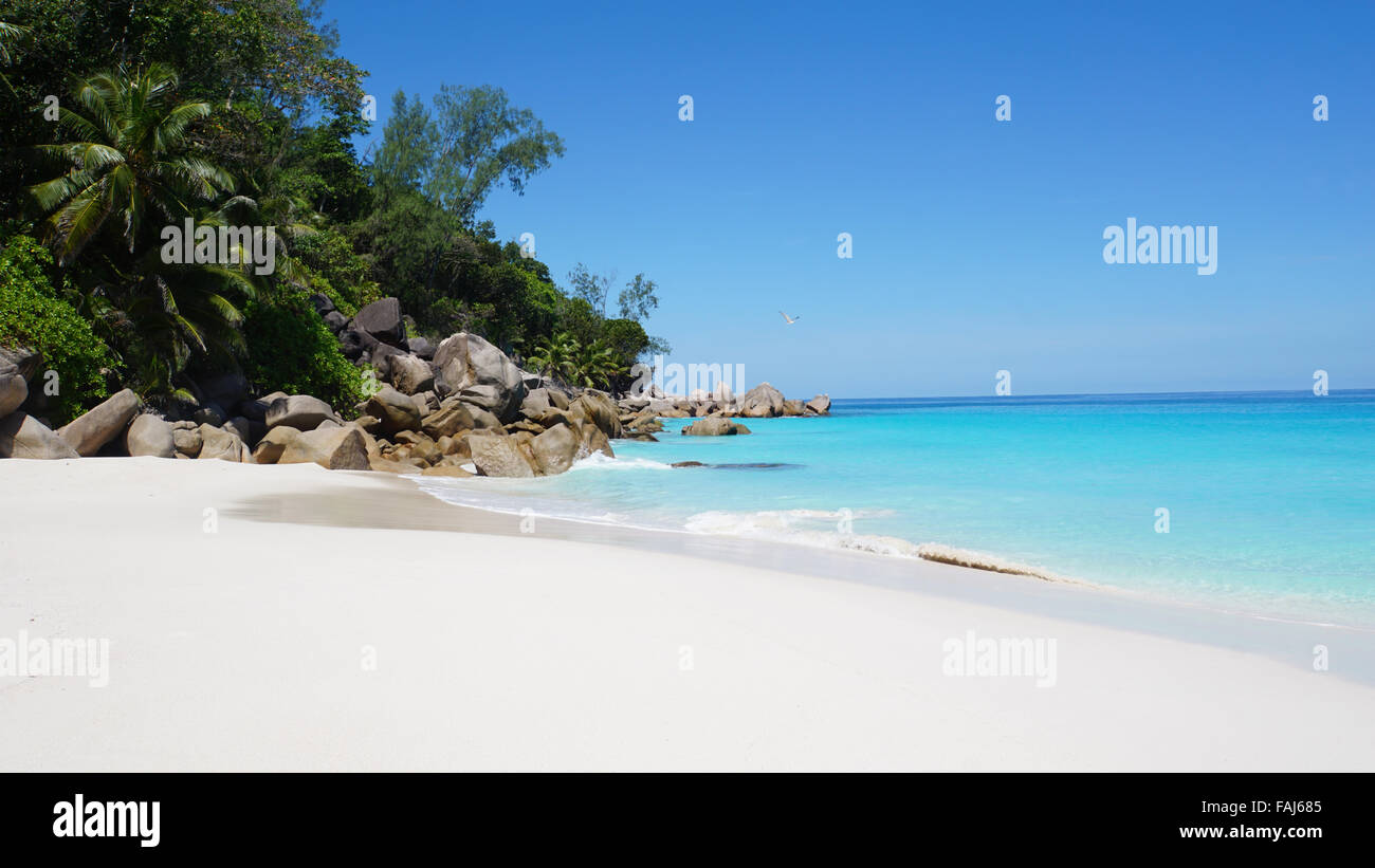 natural tropical beach on praslin island Stock Photo - Alamy