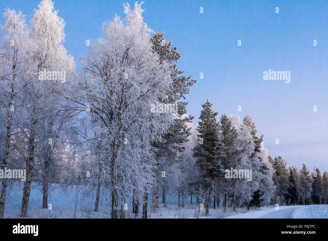 Beautiful vibrant scandinavian winter scene Stock Photo - Alamy