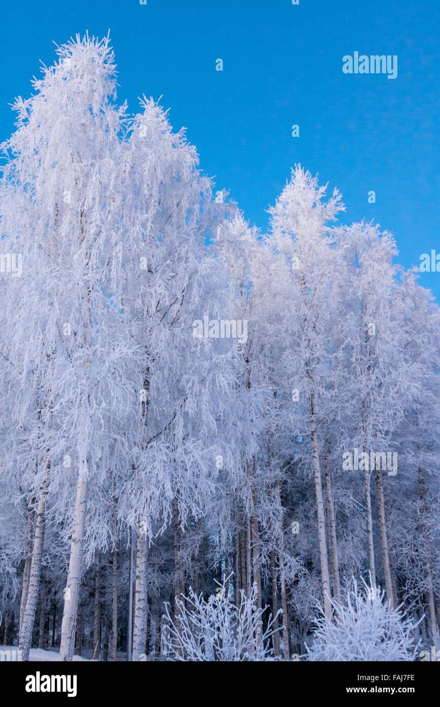 Beautiful vibrant scandinavian winter scene Stock Photo - Alamy