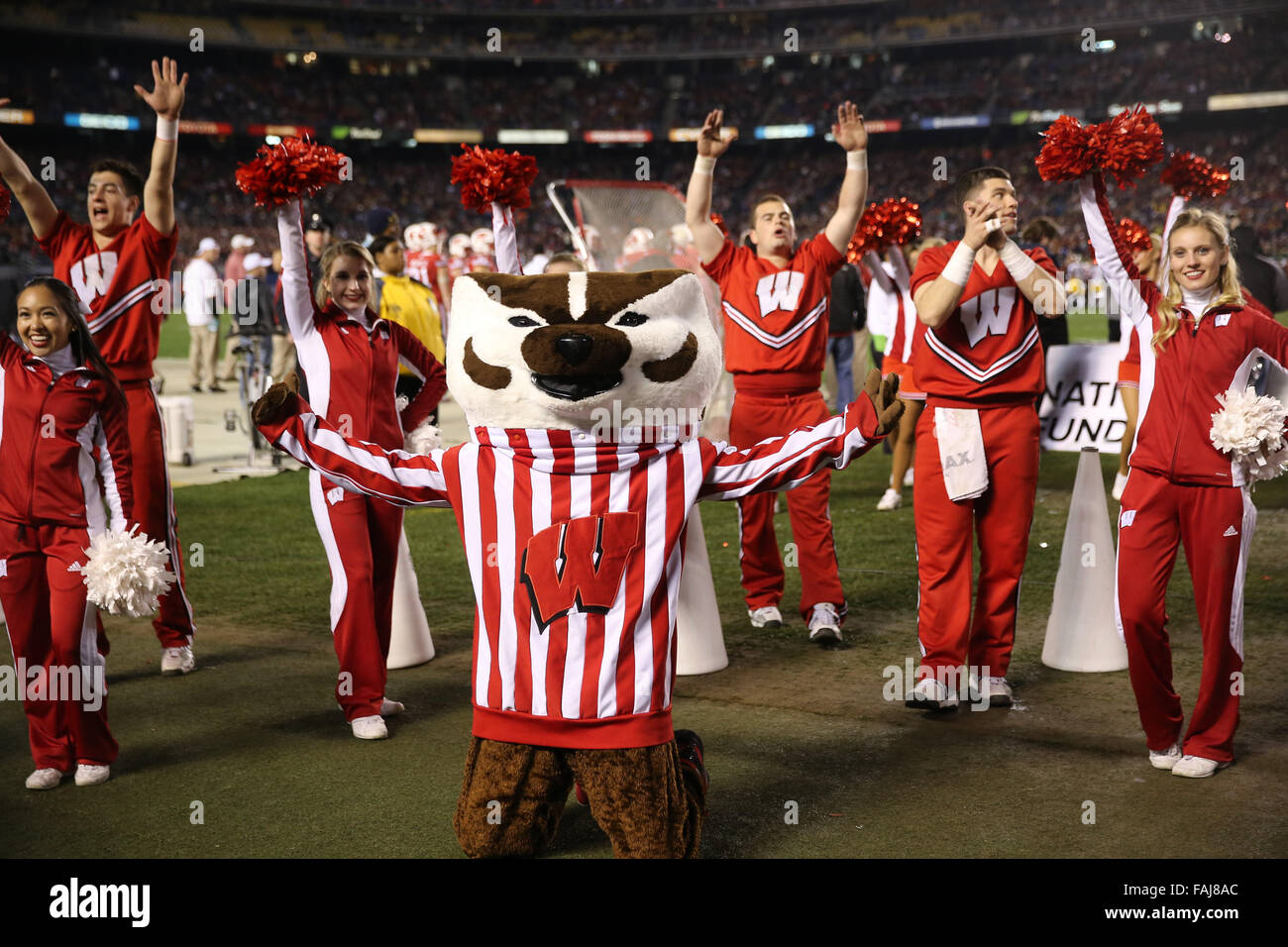 San Diego, CA. 30th Dec, 2015. The Wisconsin mascot cheers with fans in ...