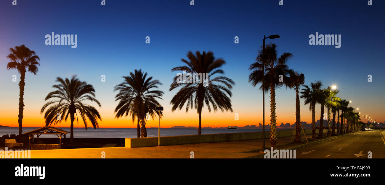 Sunset view of sea beach with palms and road Stock Photo - Alamy