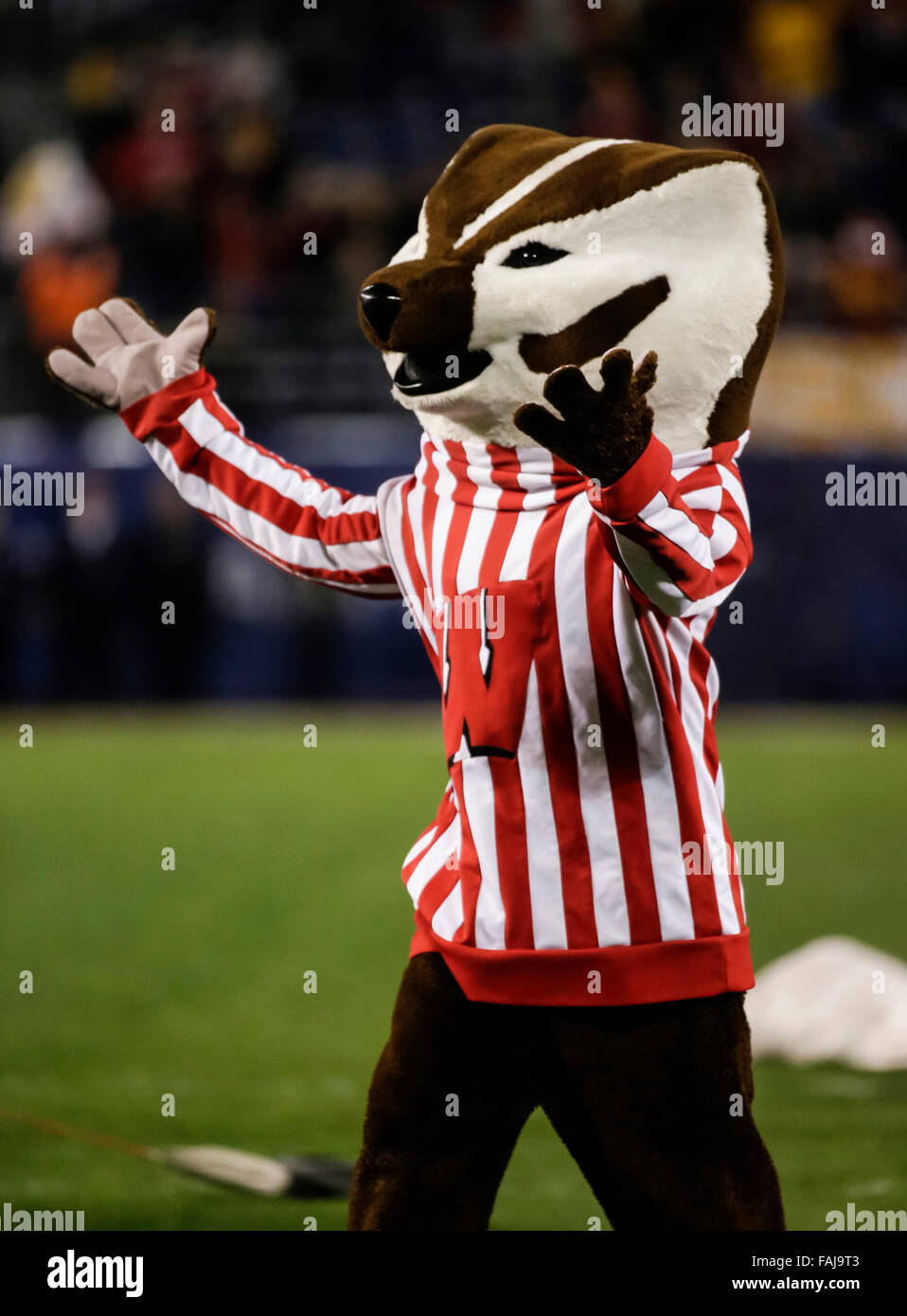 San Diego, California, USA. 30th Dec, 2015. Wisconsin Badger's Mascot ...