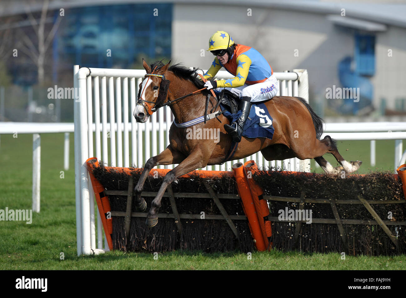 FILE PIC: -Jump Jockey AP McCoy becomes a Knight in the New Years ...