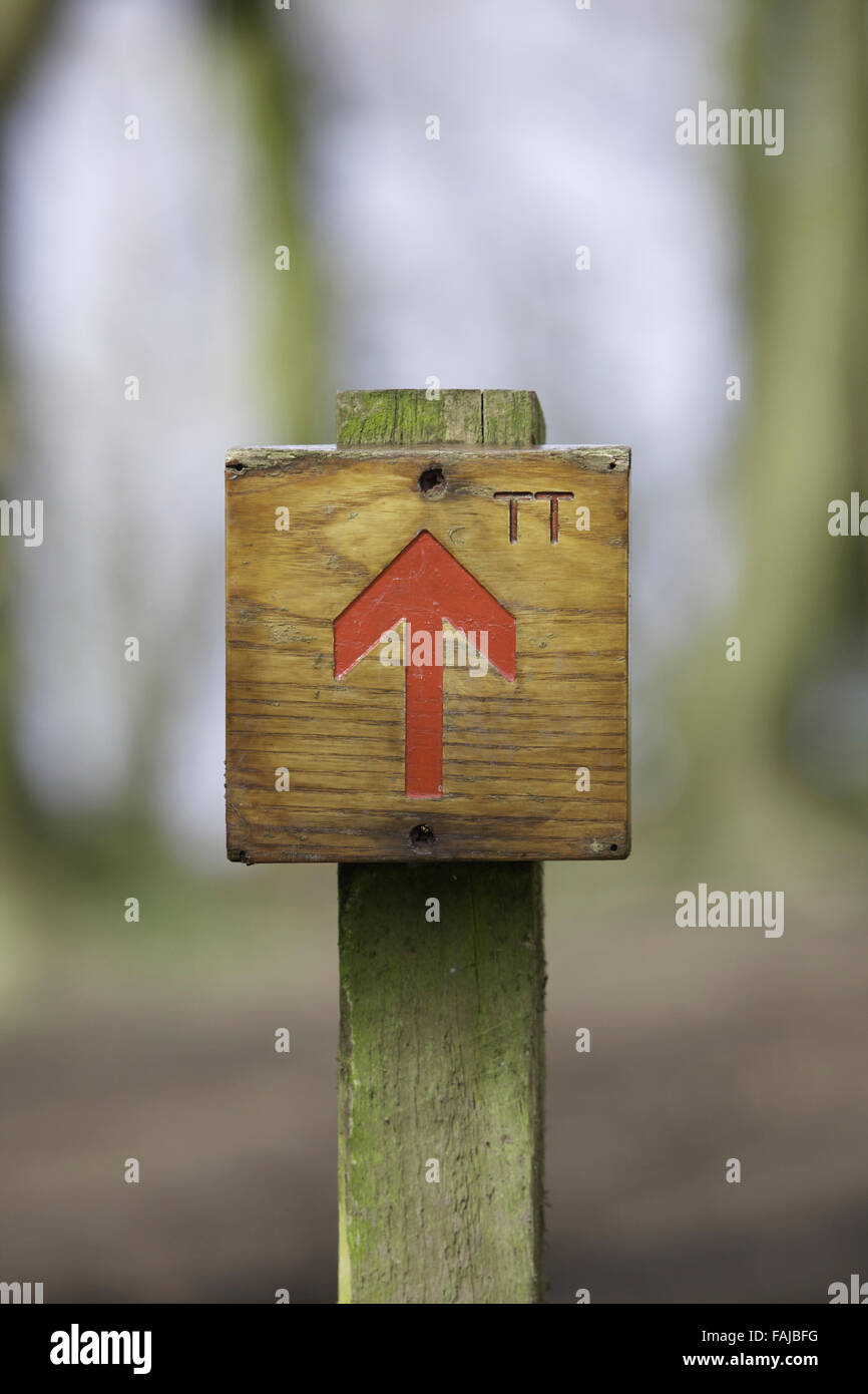 Red direction arrow pointing up on wooden signpost with soft focus ...