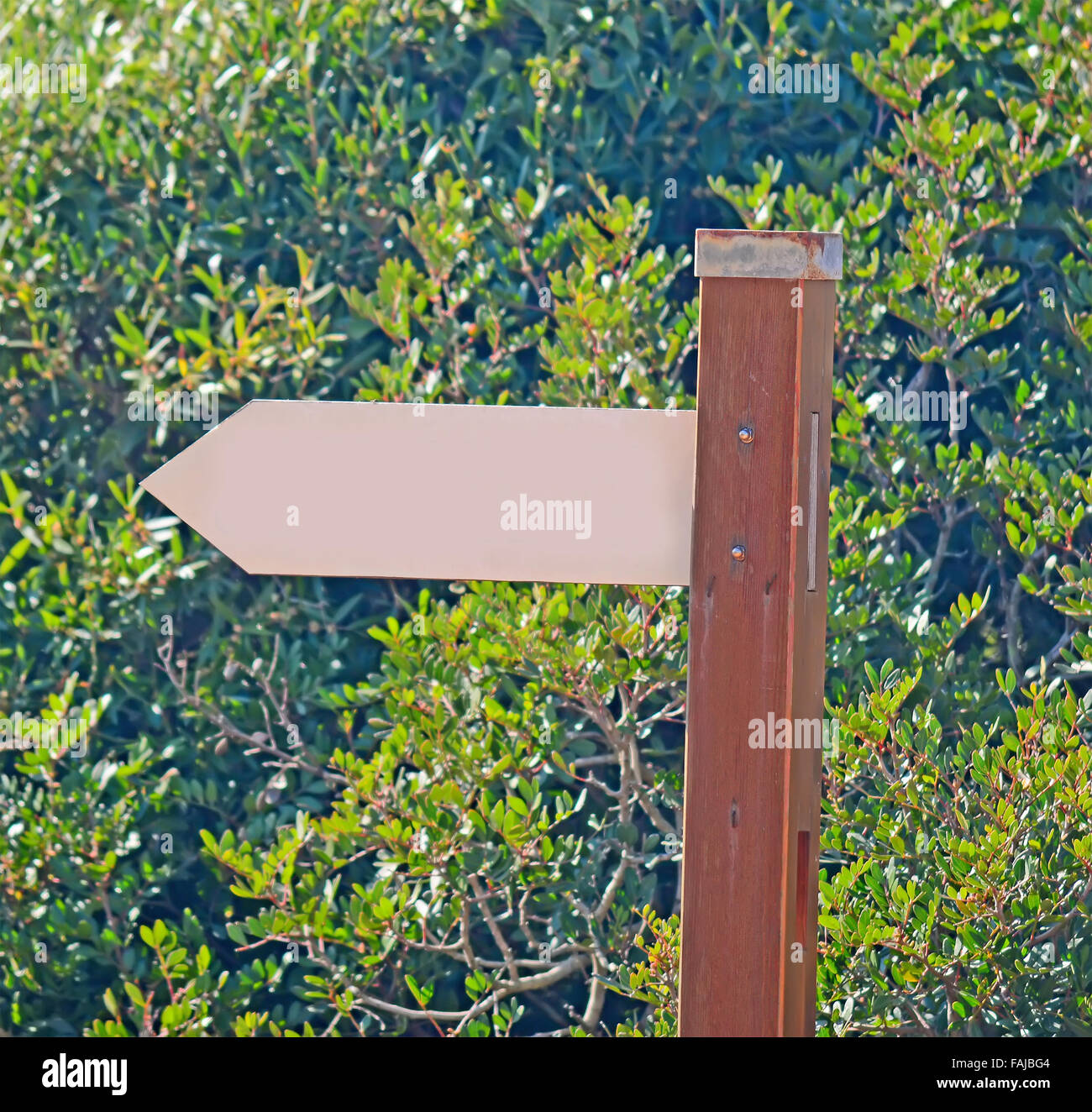 empty sign in a green park Stock Photo - Alamy