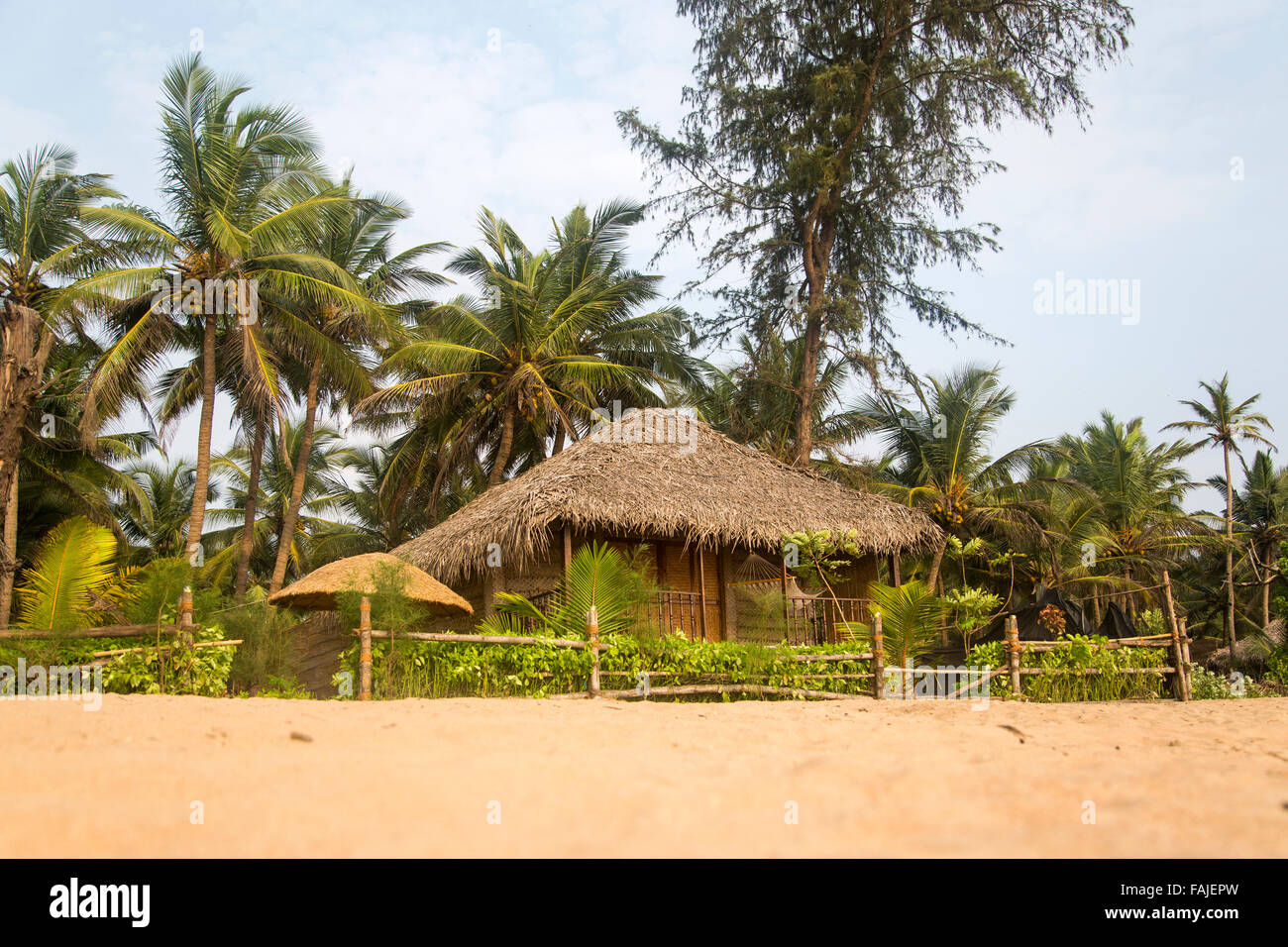 Detail of Agonda beach at Goa, India Stock Photo - Alamy
