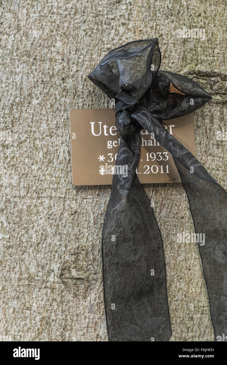 tree burial site at the waldfriedhof cemetery in stuttgart where urns ...