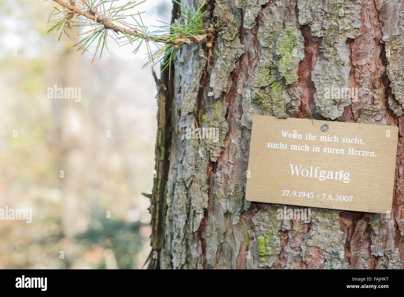 tree burial site at the waldfriedhof cemetery in stuttgart where urns ...