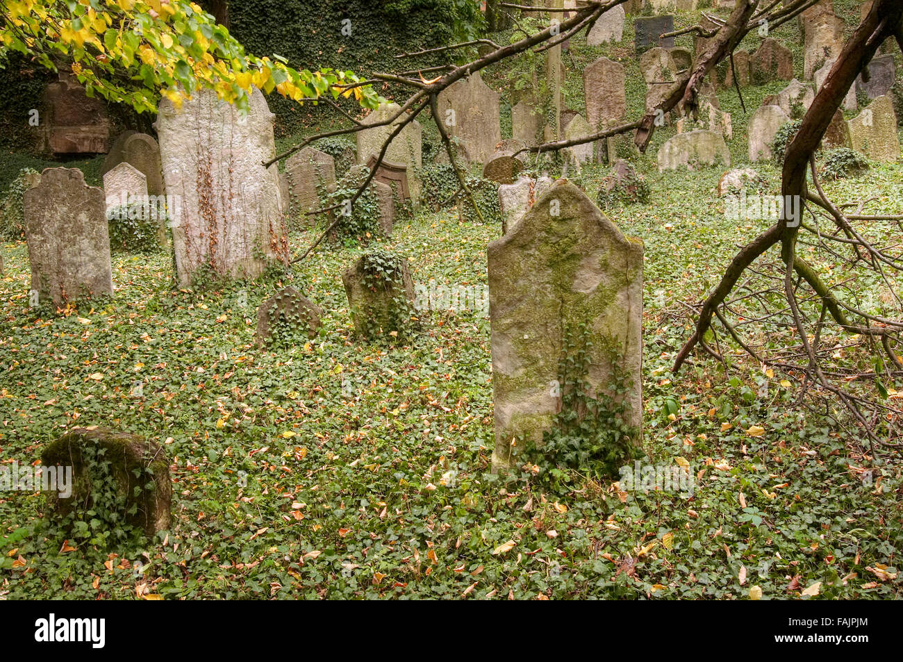 Old jewish gravestone hi-res stock photography and images - Alamy
