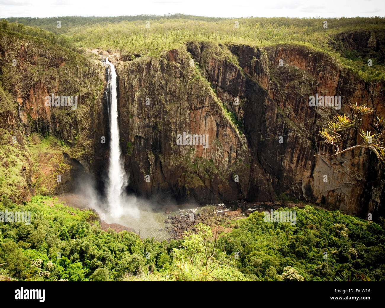 Wallaman Falls a 268 metres high waterfall in Girringun National Park ...