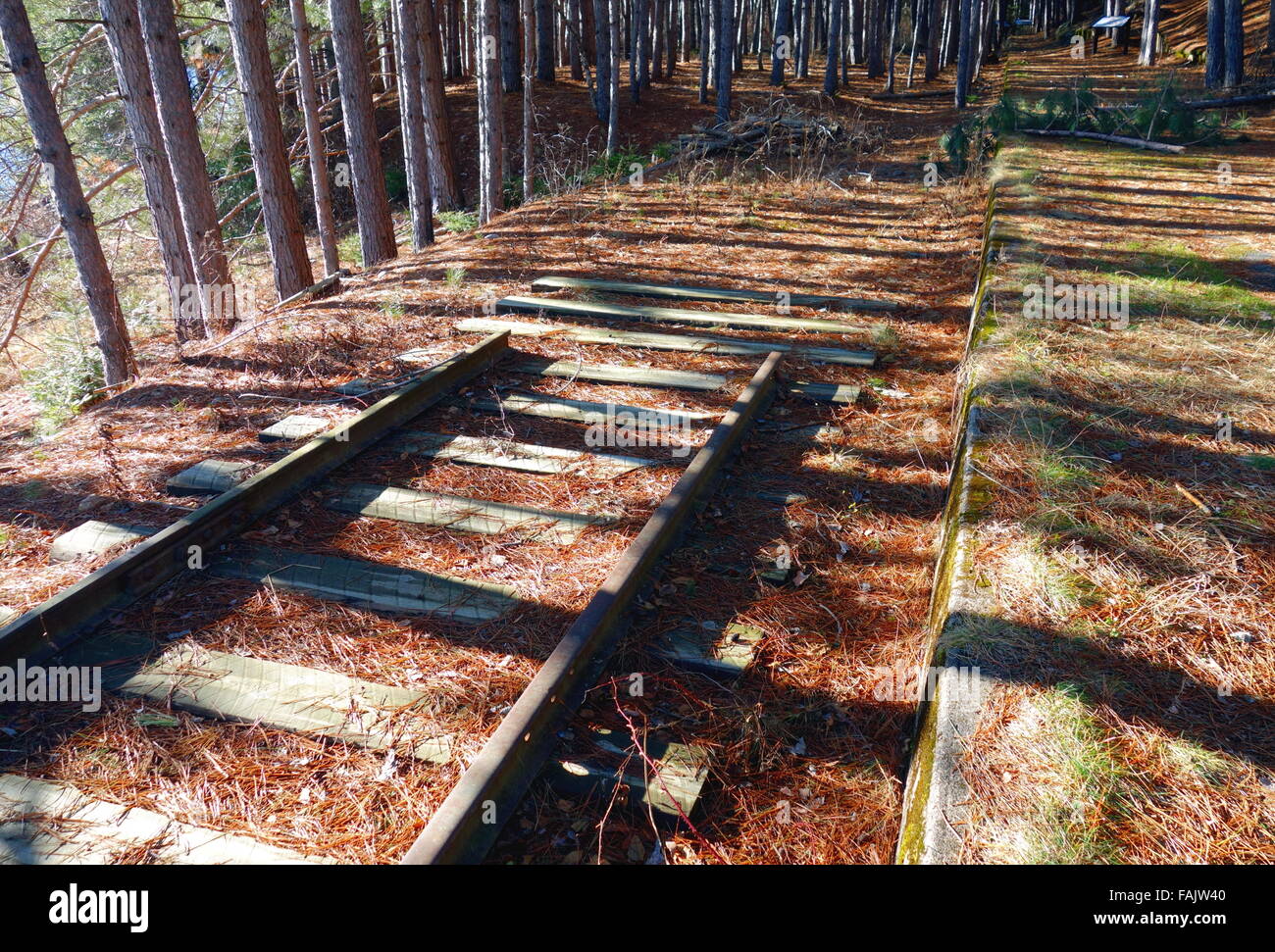 Abandoned Railroad Track High Resolution Stock Photography and Images ...