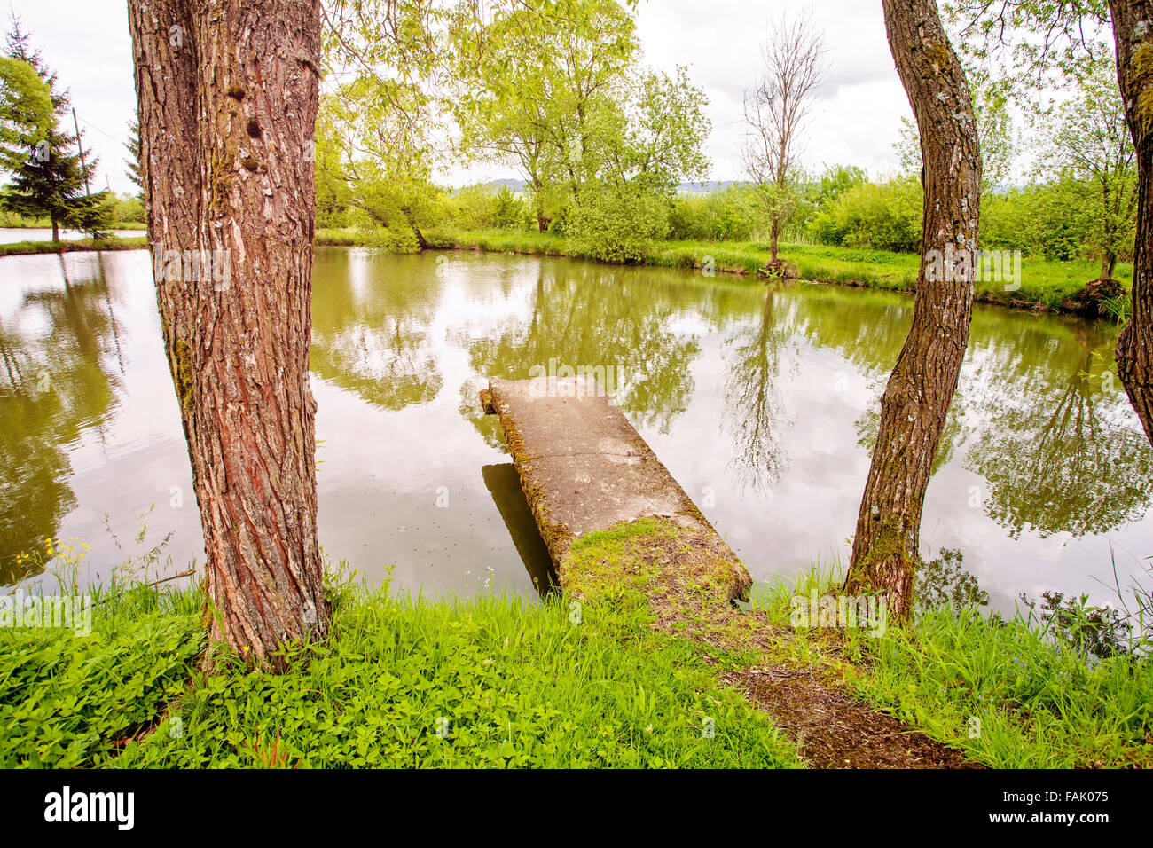 Nature landscape with a pond, Nyrsko, Czech republic Stock Photo - Alamy