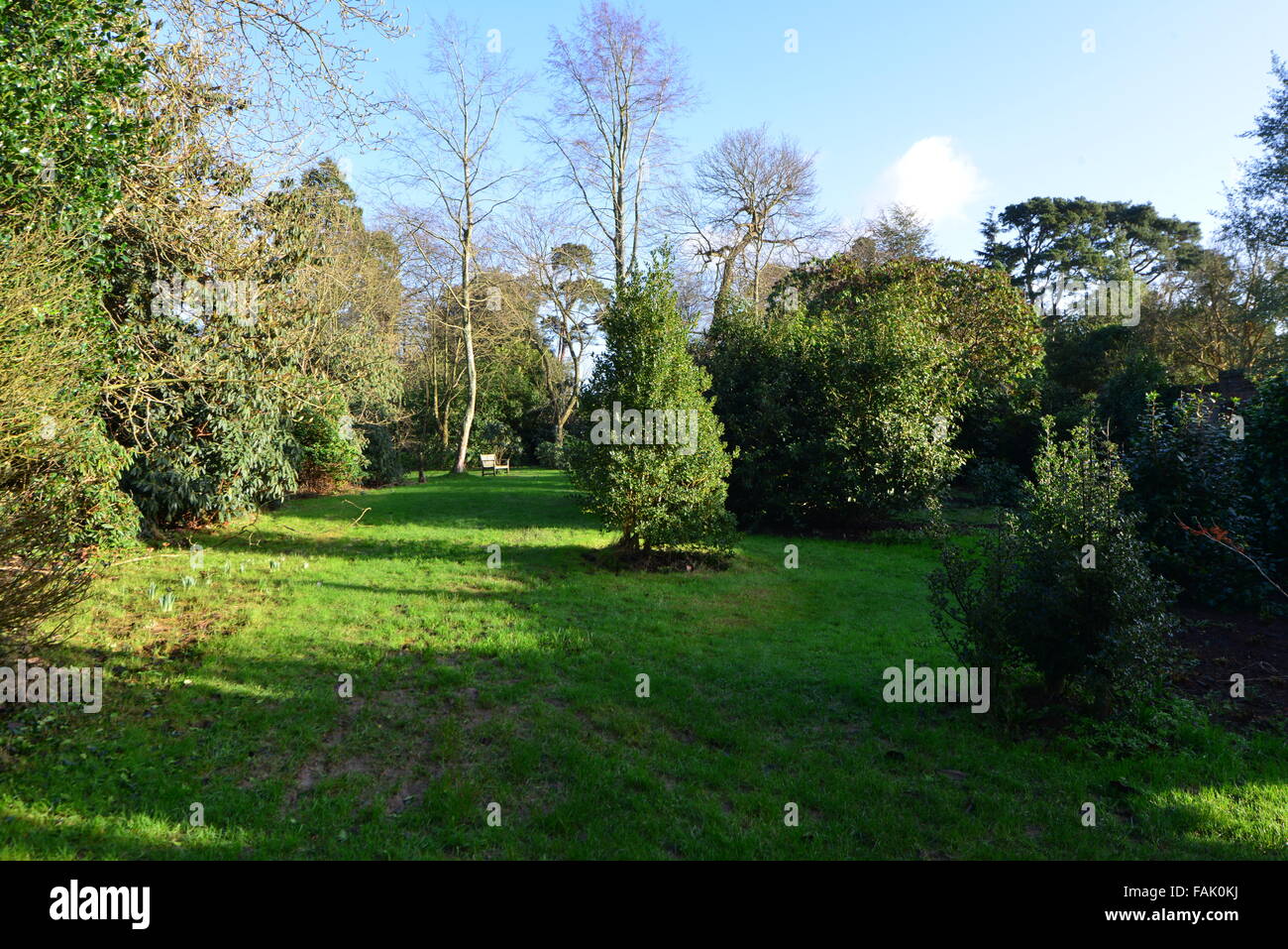 English country garden in winter Stock Photo - Alamy