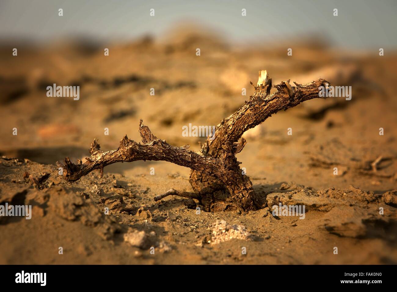 Yadan landforms hi-res stock photography and images - Alamy