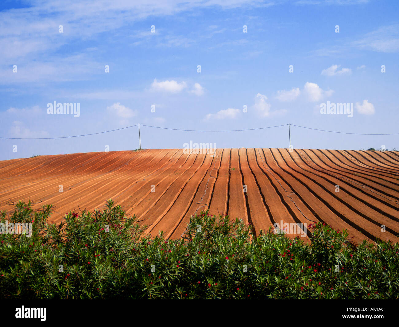 Sowing plough hi-res stock photography and images - Alamy