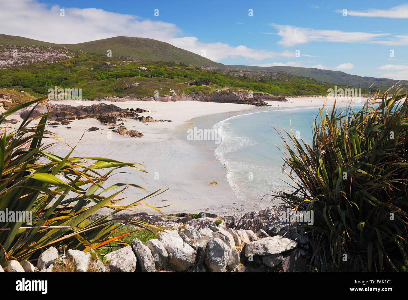Derrynane Bay near Caherdaniel at the Ring of Kerry, County Kerry ...