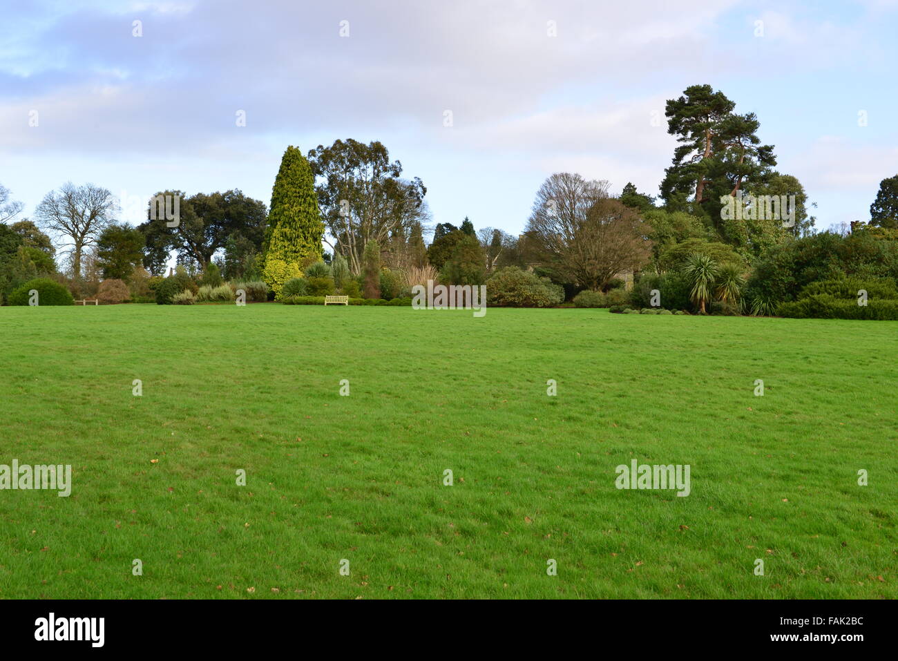 English country garden in winter Stock Photo - Alamy