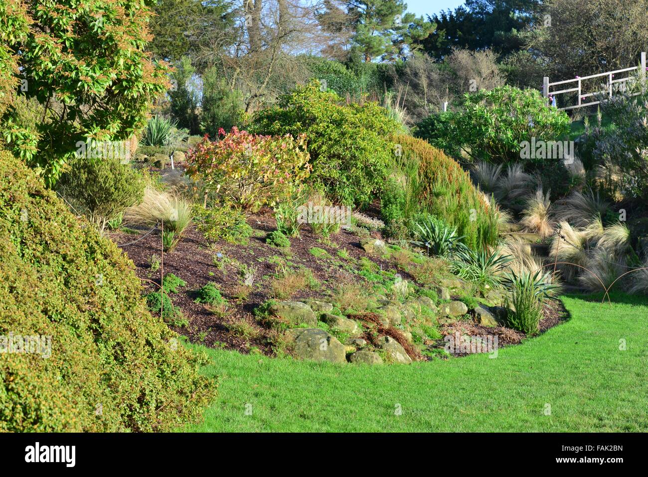 English country garden in winter Stock Photo - Alamy