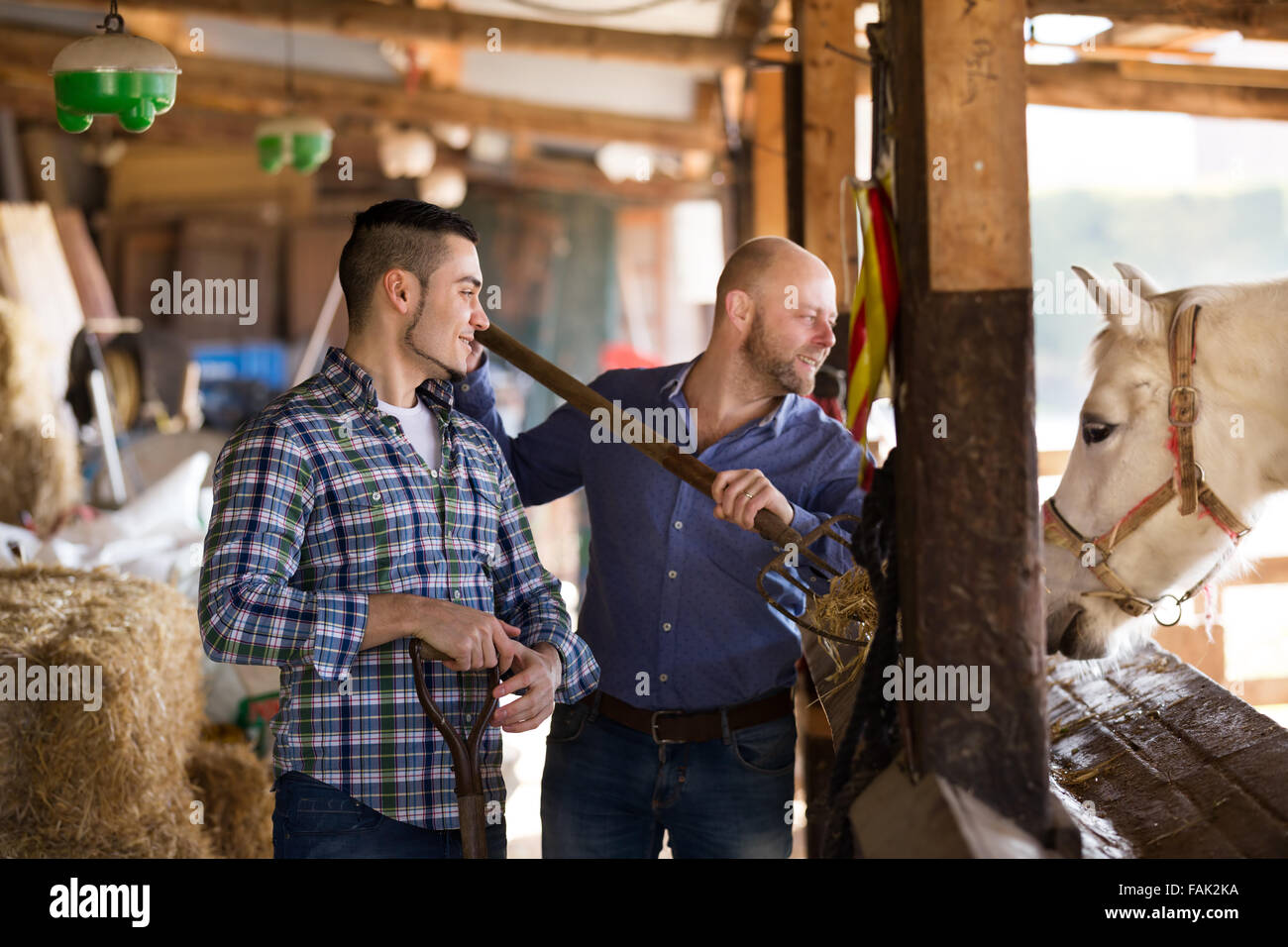 Portrait of two farmers with pitchforks at settlement Stock Photo - Alamy