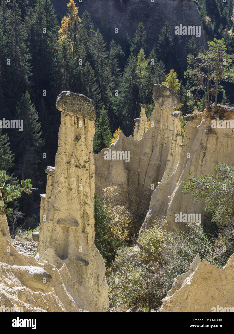 Earth pyramids in Percha, South Tyrol, Italy Stock Photo - Alamy