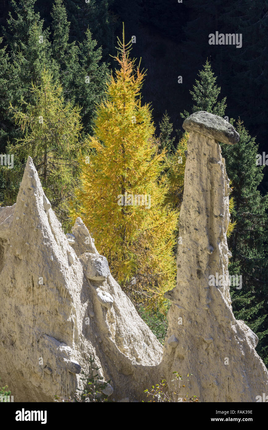 Earth pyramids in Percha, South Tyrol, Italy Stock Photo - Alamy