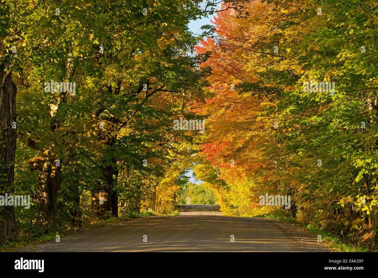 Eastern colours hi-res stock photography and images - Alamy