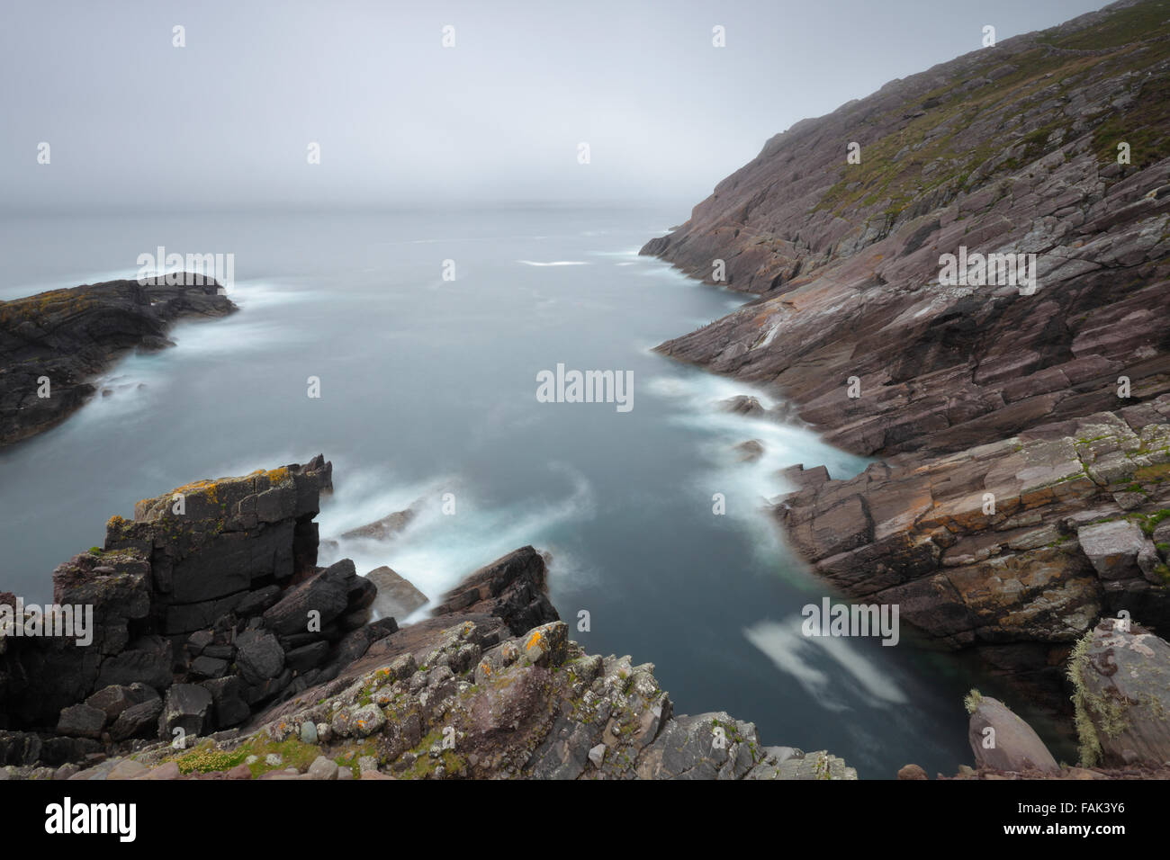 Hogs head hi-res stock photography and images - Alamy