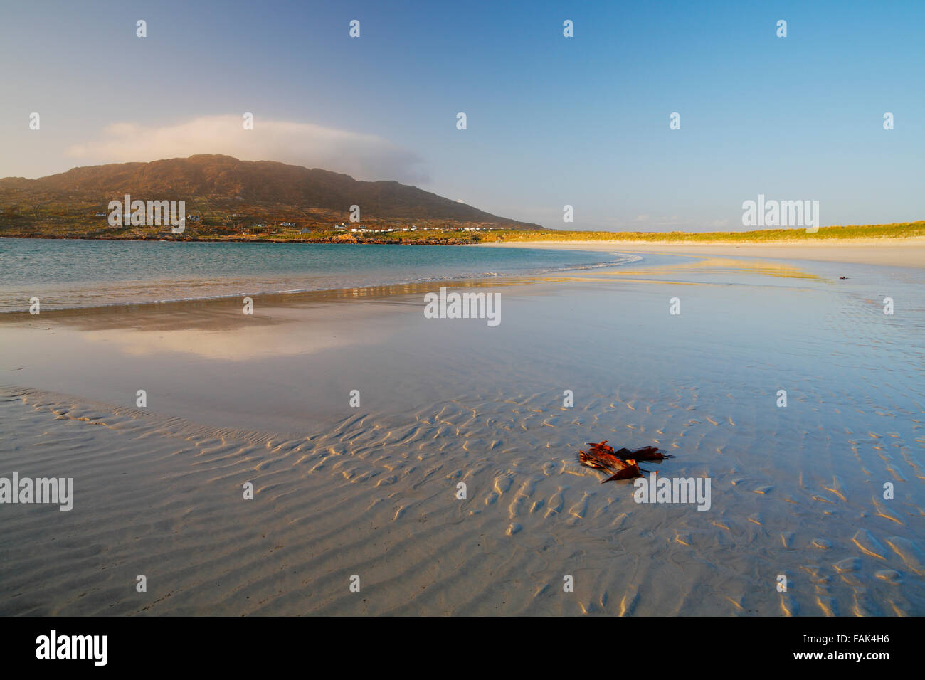 Dogs Bay in the evening light, Connemara, Ireland Stock Photo - Alamy