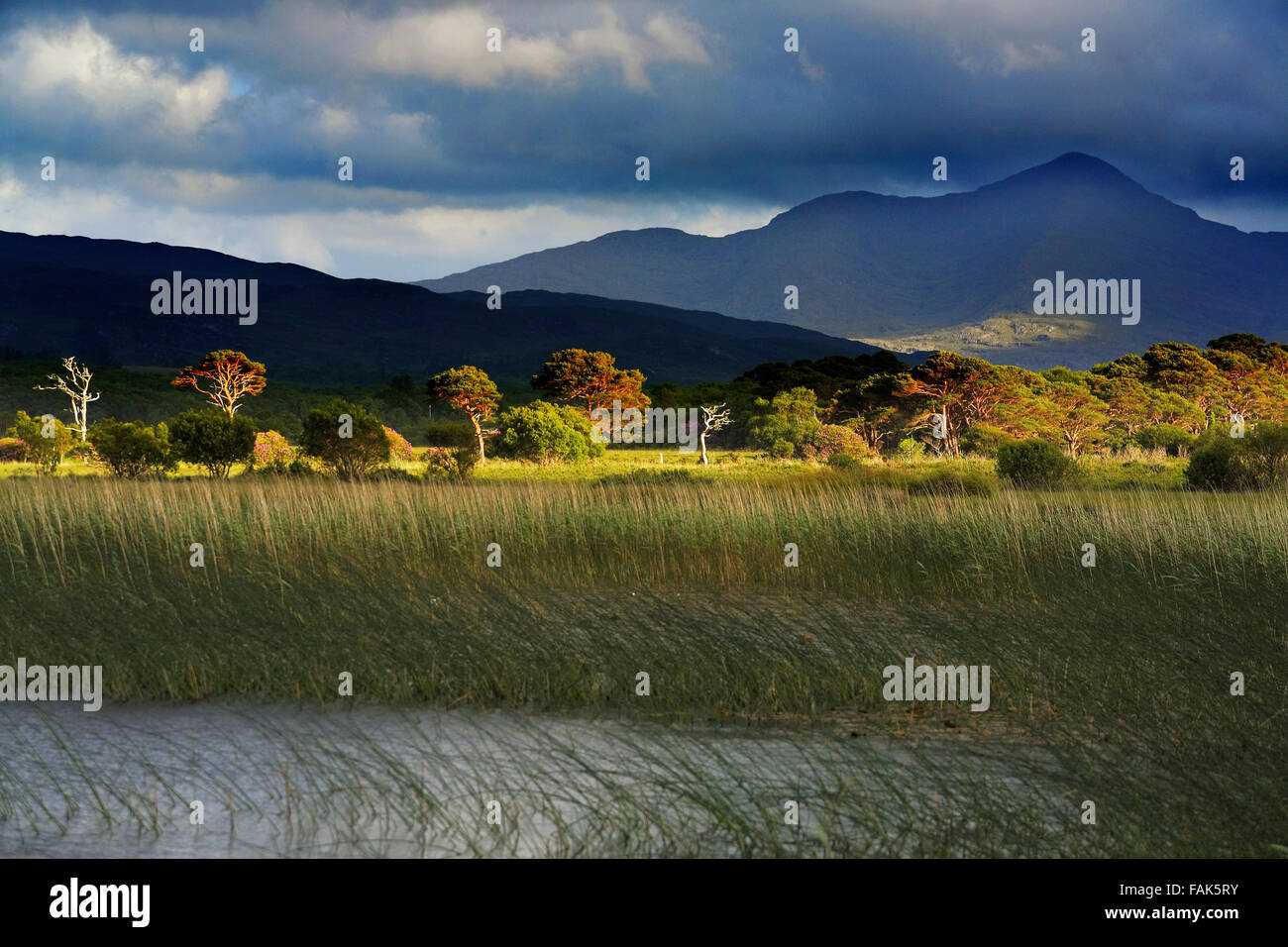 Lough Caragh on Iveragh Peninsula, County Kerry, Ireland Stock Photo ...