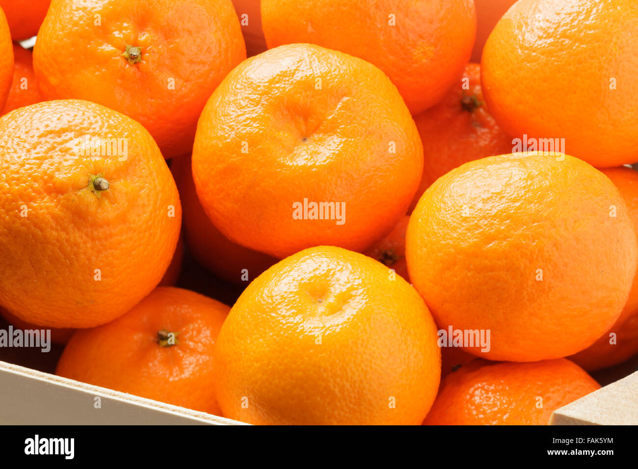 Bagu Clementine Displays Happy Spring! 💕🌷🌸 These New Pieces