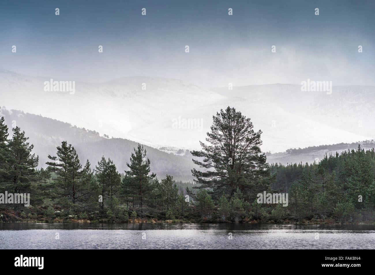 Glen feshie uath lochans cairngorms hi-res stock photography and images ...