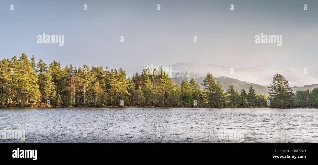 Uath Lochan & Cairngorms at Glen Feshie in Scotland Stock Photo - Alamy