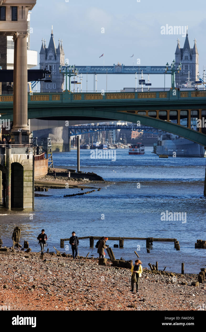 People mudlarking on the River Thames, London England United Kingdom UK ...