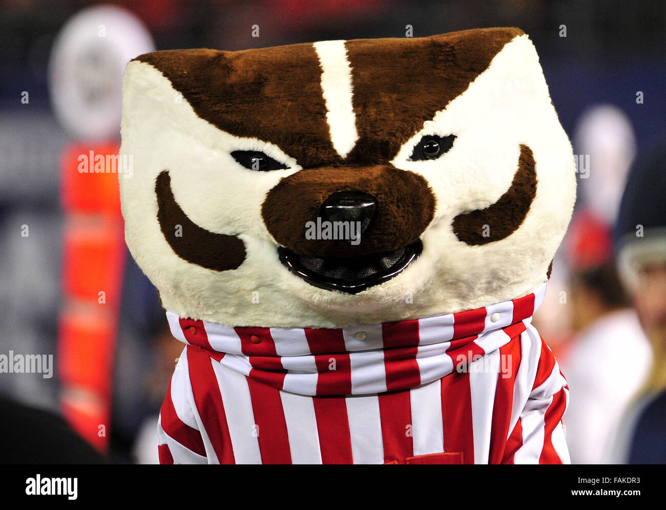 Buckingham u badger hi-res stock photography and images - Alamy