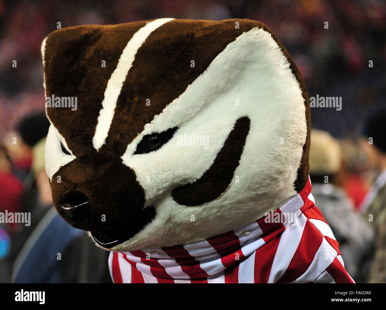 Buckingham u badger hi-res stock photography and images - Alamy