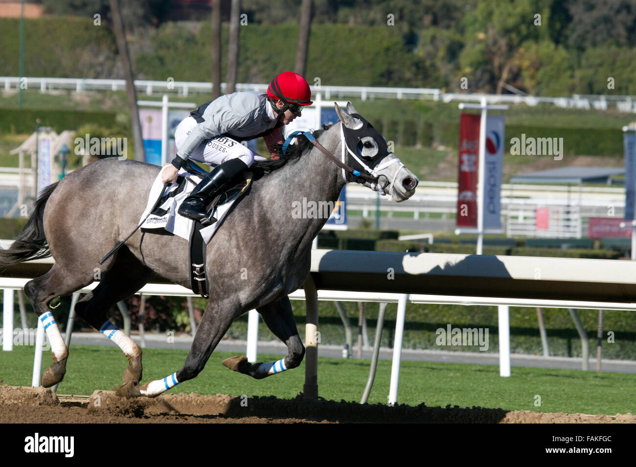 Thoroughbred Horse Races Stock Photo - Alamy