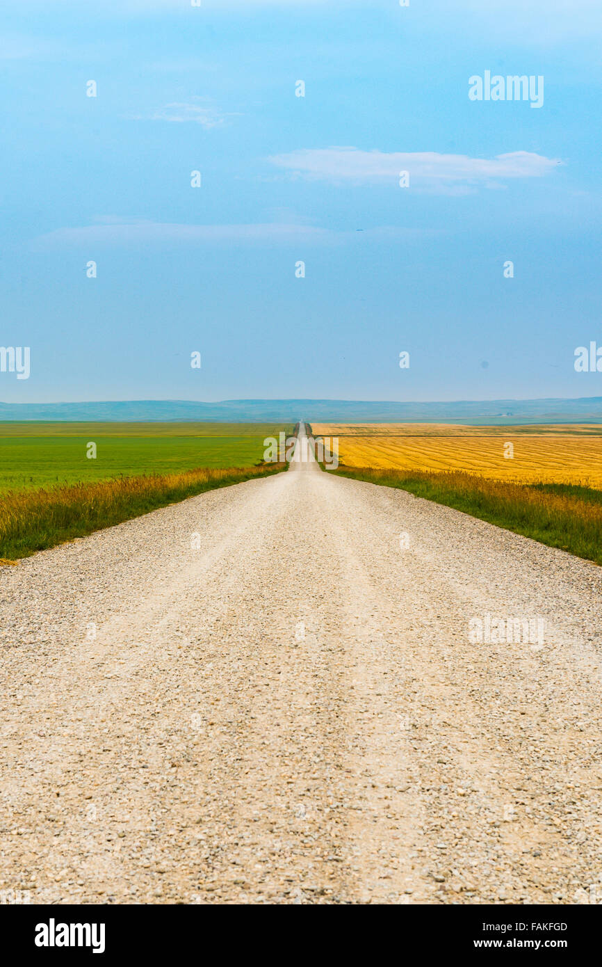 Farmstead in rural Southern Alberta Canada Stock Photo - Alamy