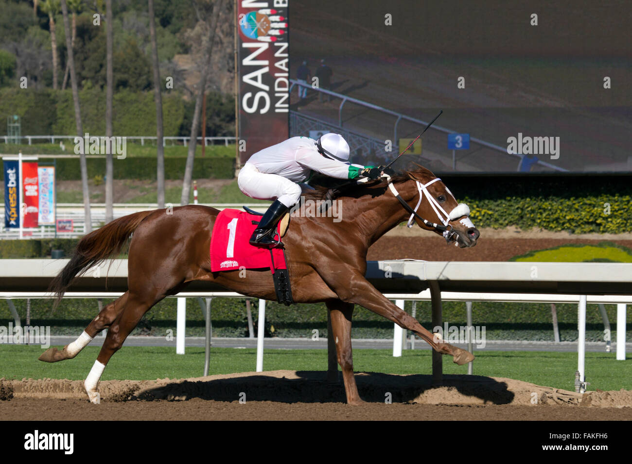 Thoroughbred Horse Races Stock Photo - Alamy